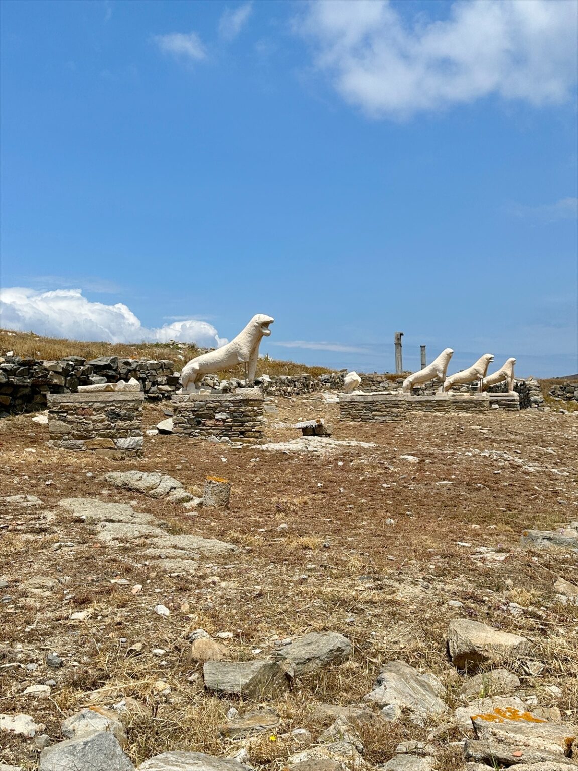 Everything You Need to Know About Visiting Delos, Greece - My Big Fat ...